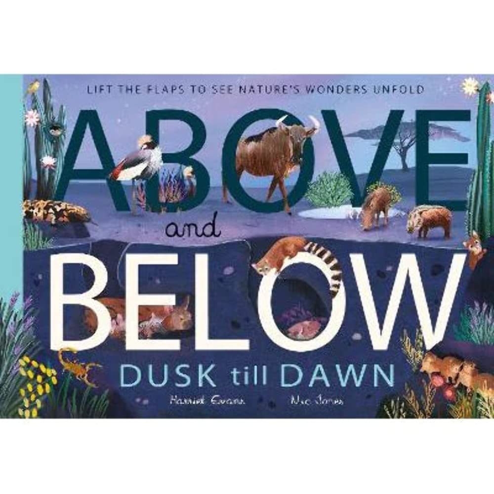 Above and Below Book Review
