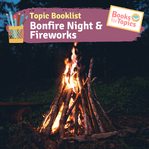 Best Bonfire Night Children's Books & Firework Stories [Primary Book Guide]