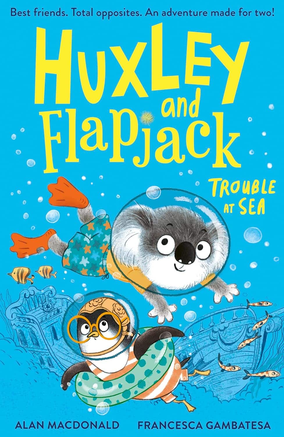 Huxley and Flapjack: Trouble at Sea Book Review
