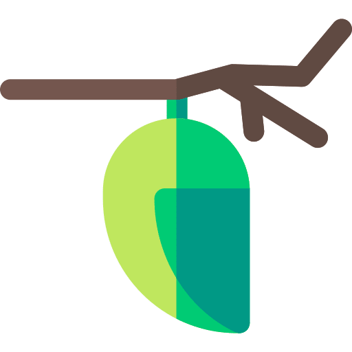 Best children's books about Life Cycles