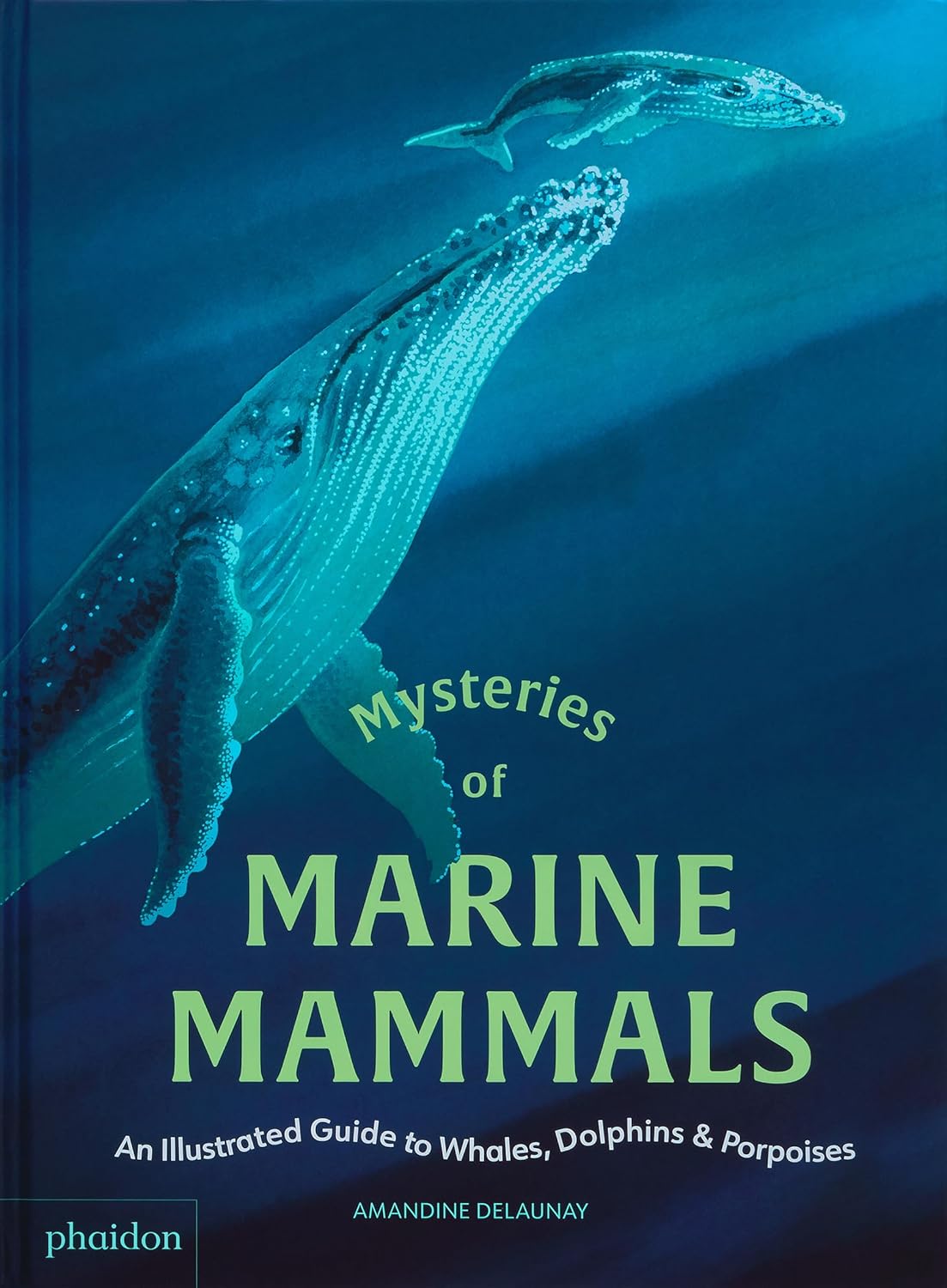 Mysteries of Marine Mammals Book Review