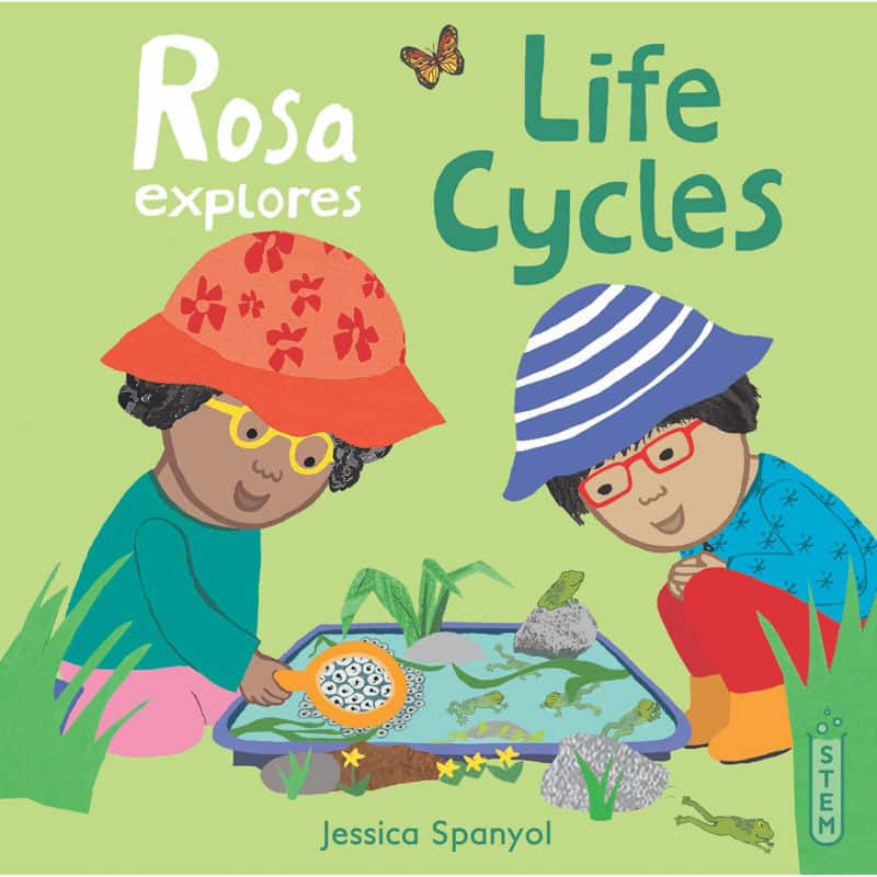 Rosa Explores Life Cycles Book Review
