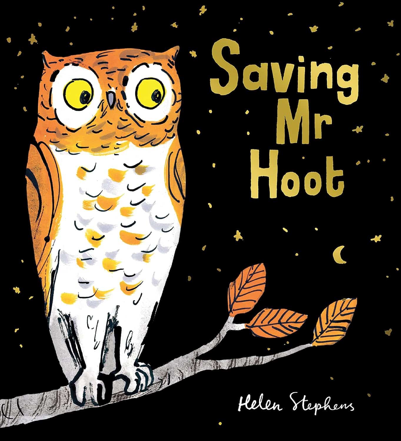 Saving Mr Hoot Book Review