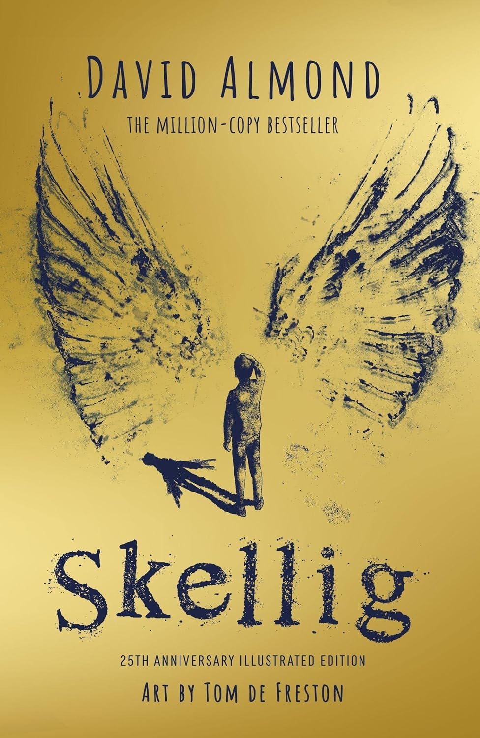 Skellig: the 25th anniversary illustrated edition Book Review