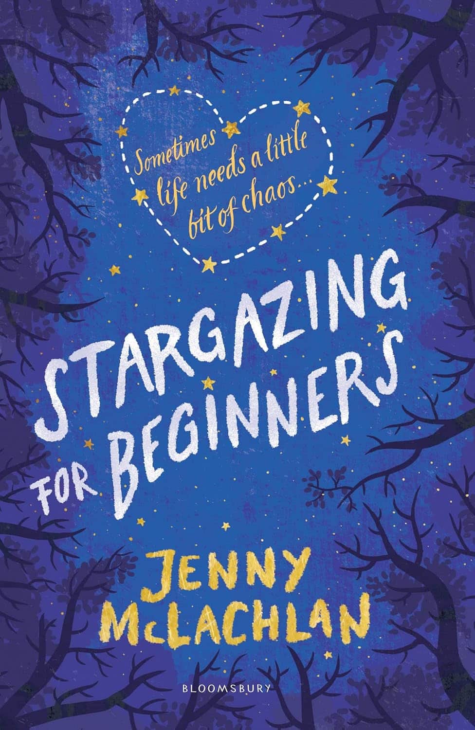 Stargazing for Beginners Book Review