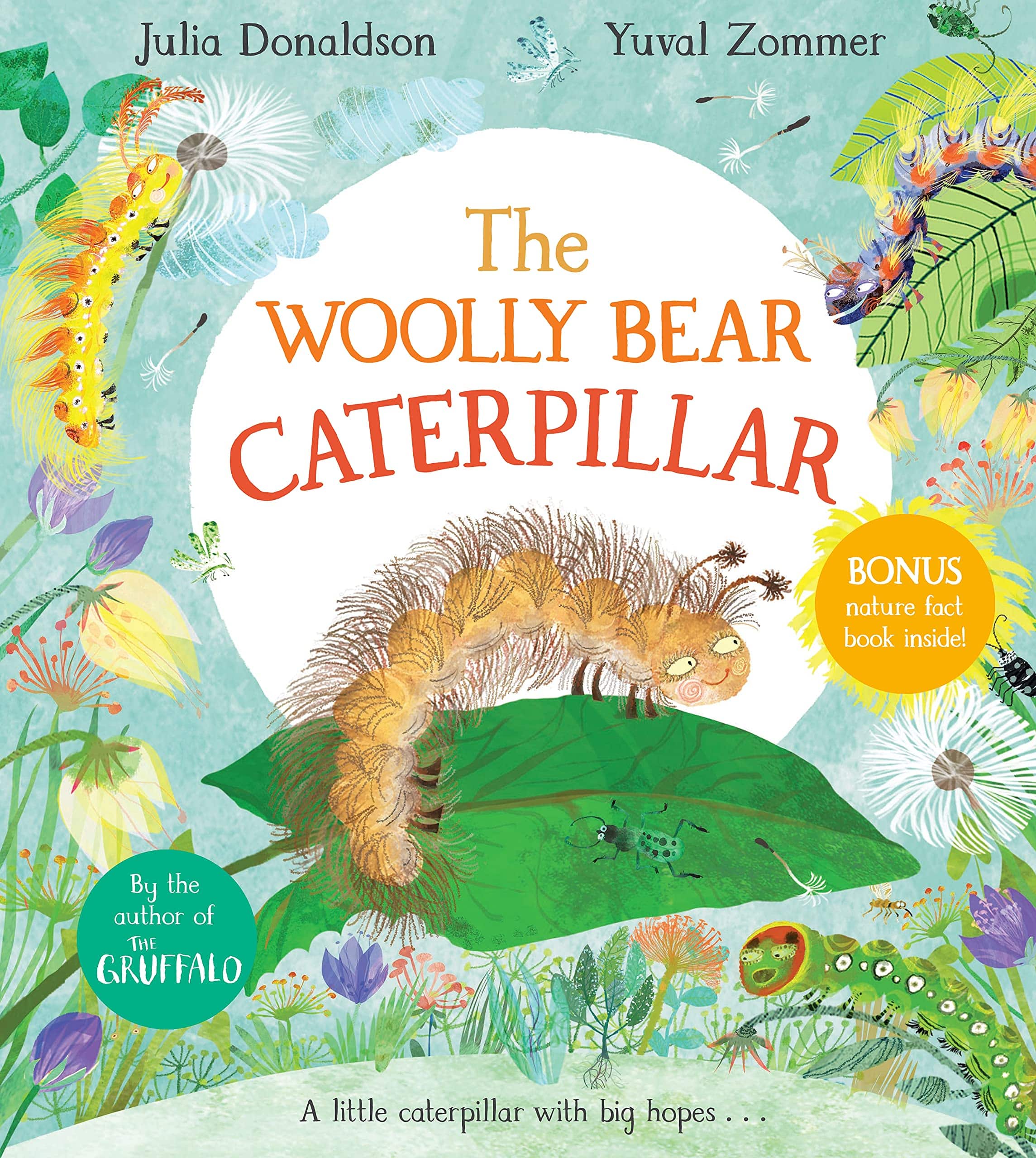 The Woolly Bear Caterpillar Book Review