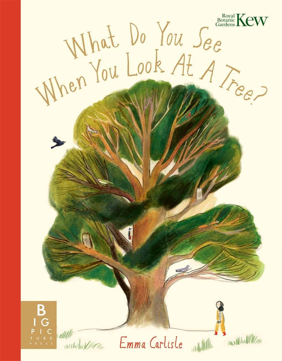 What Do You See When You Look At a Tree? Book Review