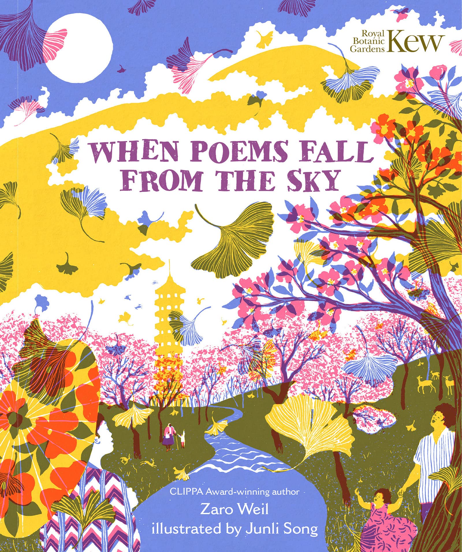 When Poems Fall From the Sky Book Review