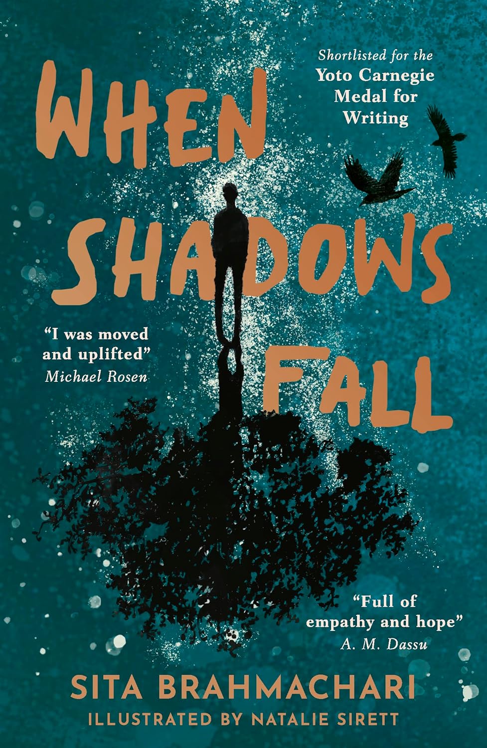 When Shadows Fall Book Review